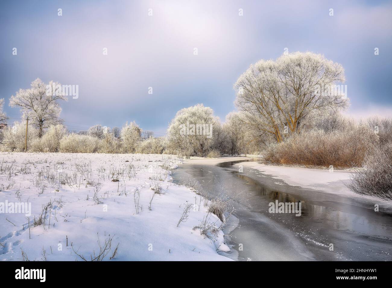 Beautiful Winter landscape scene background with snow covered trees and ...