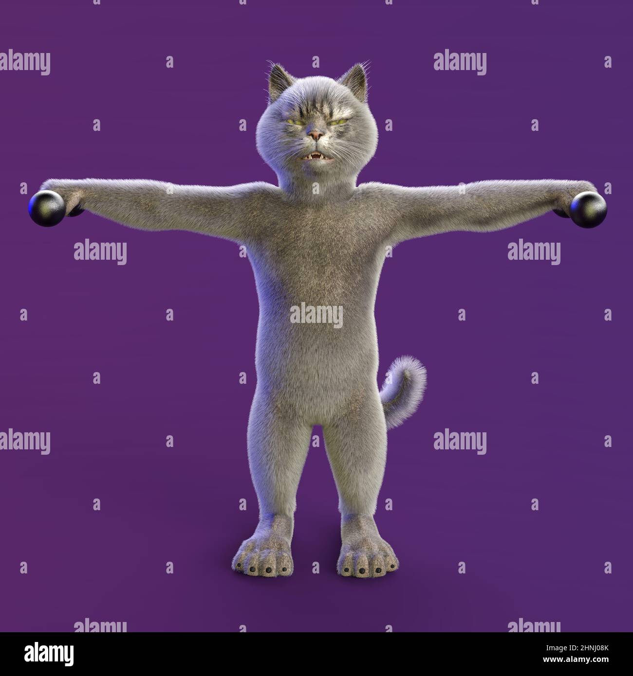 3D-illustration of a cute and funny cartoon cat making a workout Stock ...
