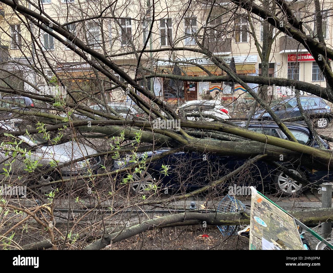 Berlin, Germany. 17th Feb, 2022. A tree fell in Kreuzberg and fell on ...