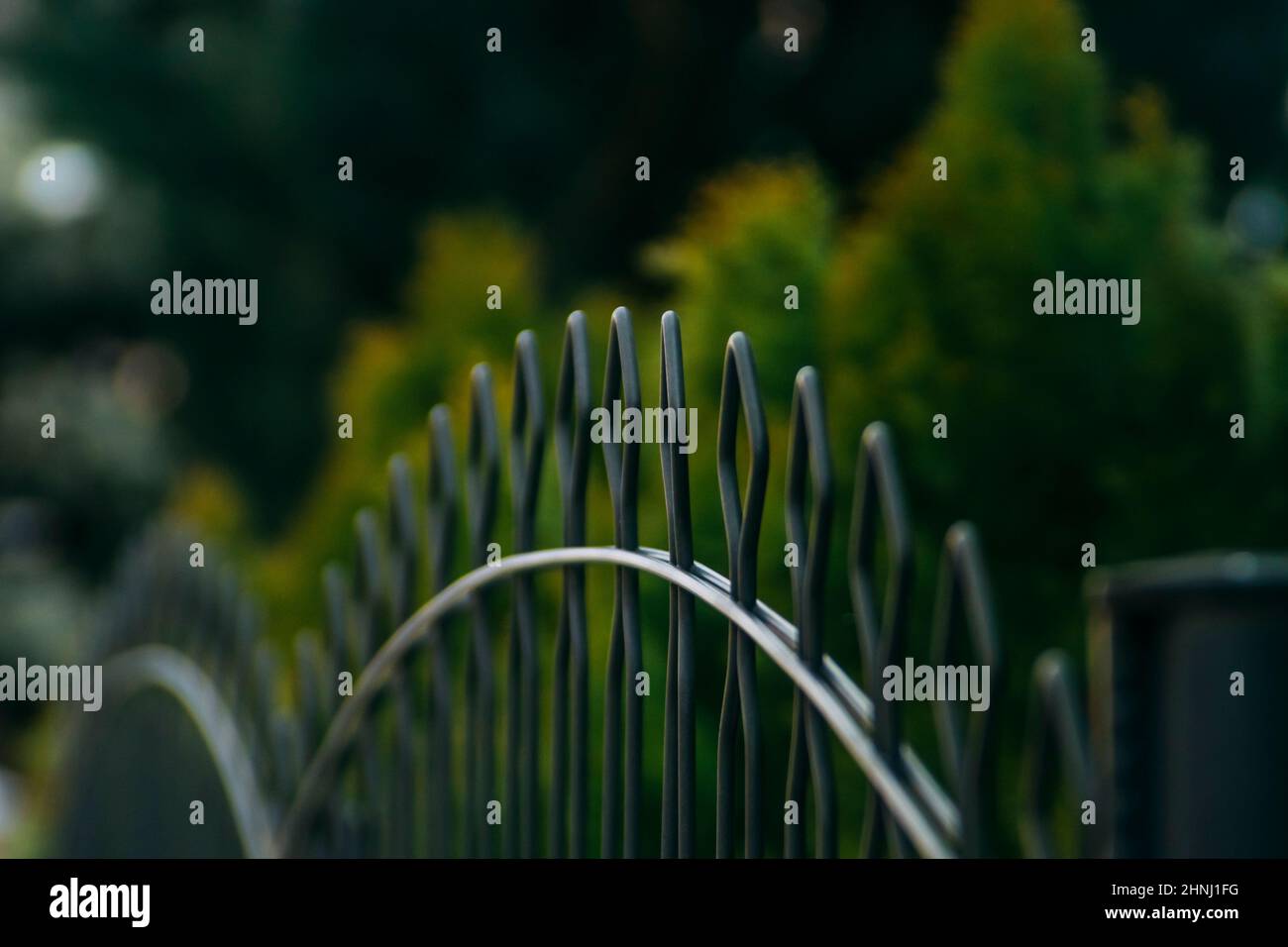 Green metal grid fence hi-res stock photography and images - Alamy