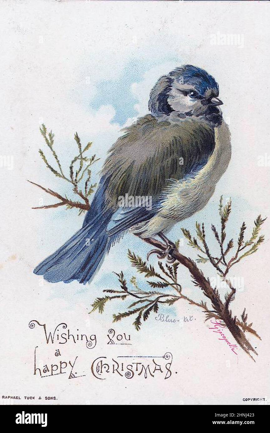 Victorian era birding illustrations hi-res stock photography and images ...