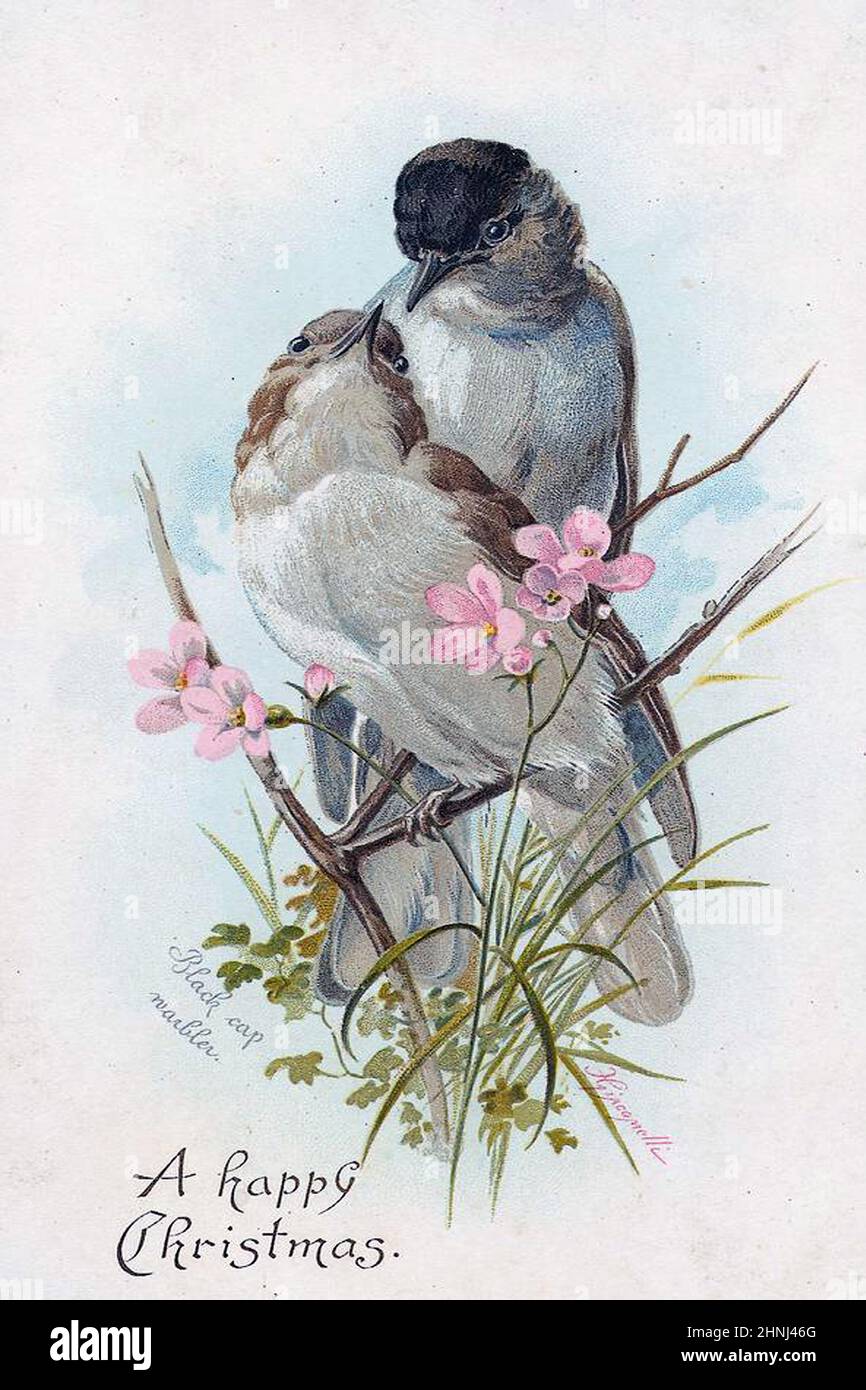 Vintage Love Birds Illustration