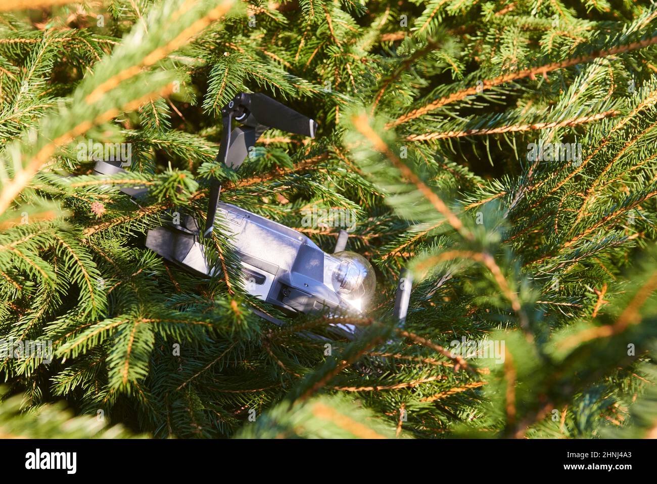 Broken destroyed drone after an accident hanging in the branches of a ...