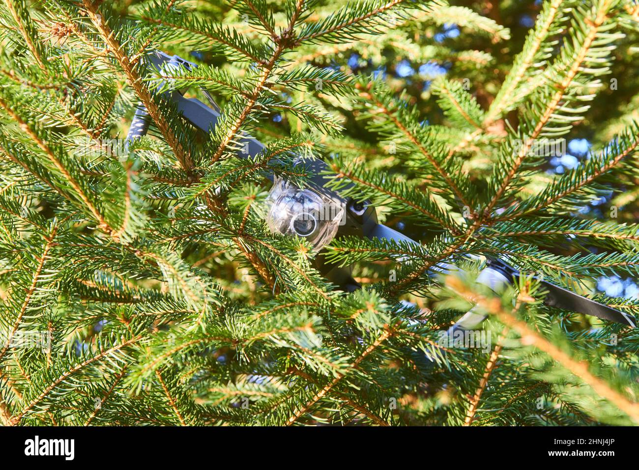 Broken destroyed drone after an accident hanging in the branches of a ...