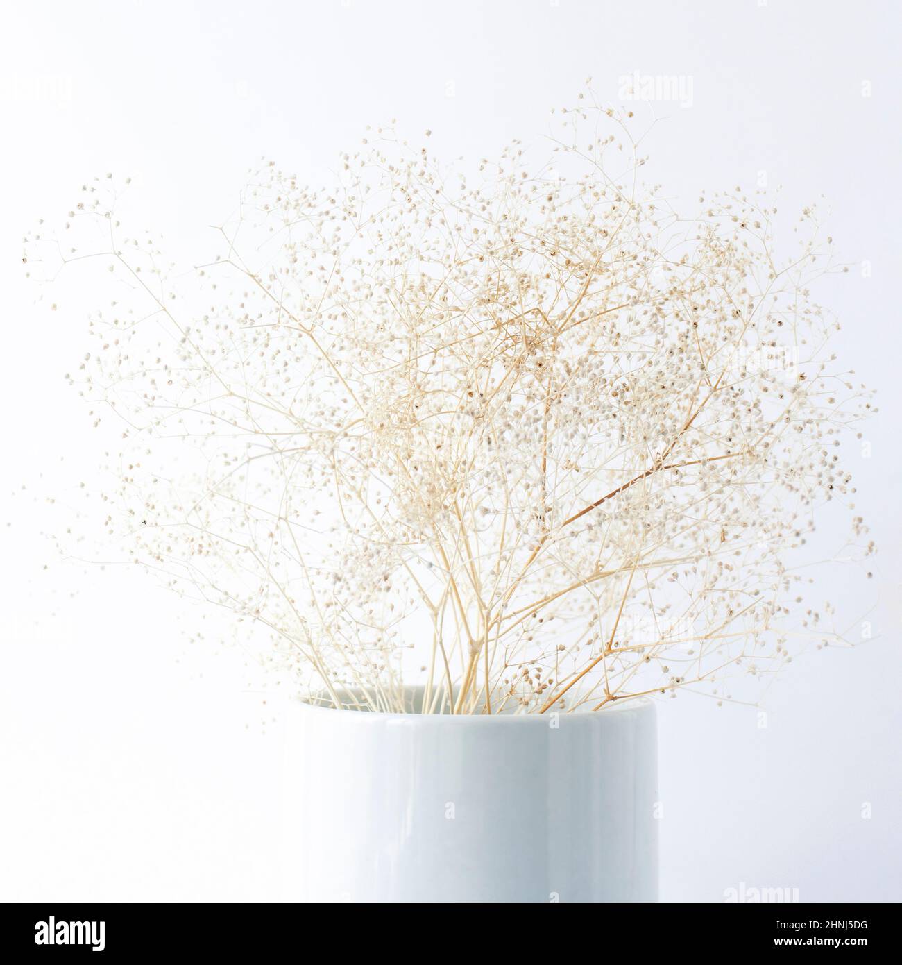 Delicate arrangement of abstract flowers hi-res stock photography and ...