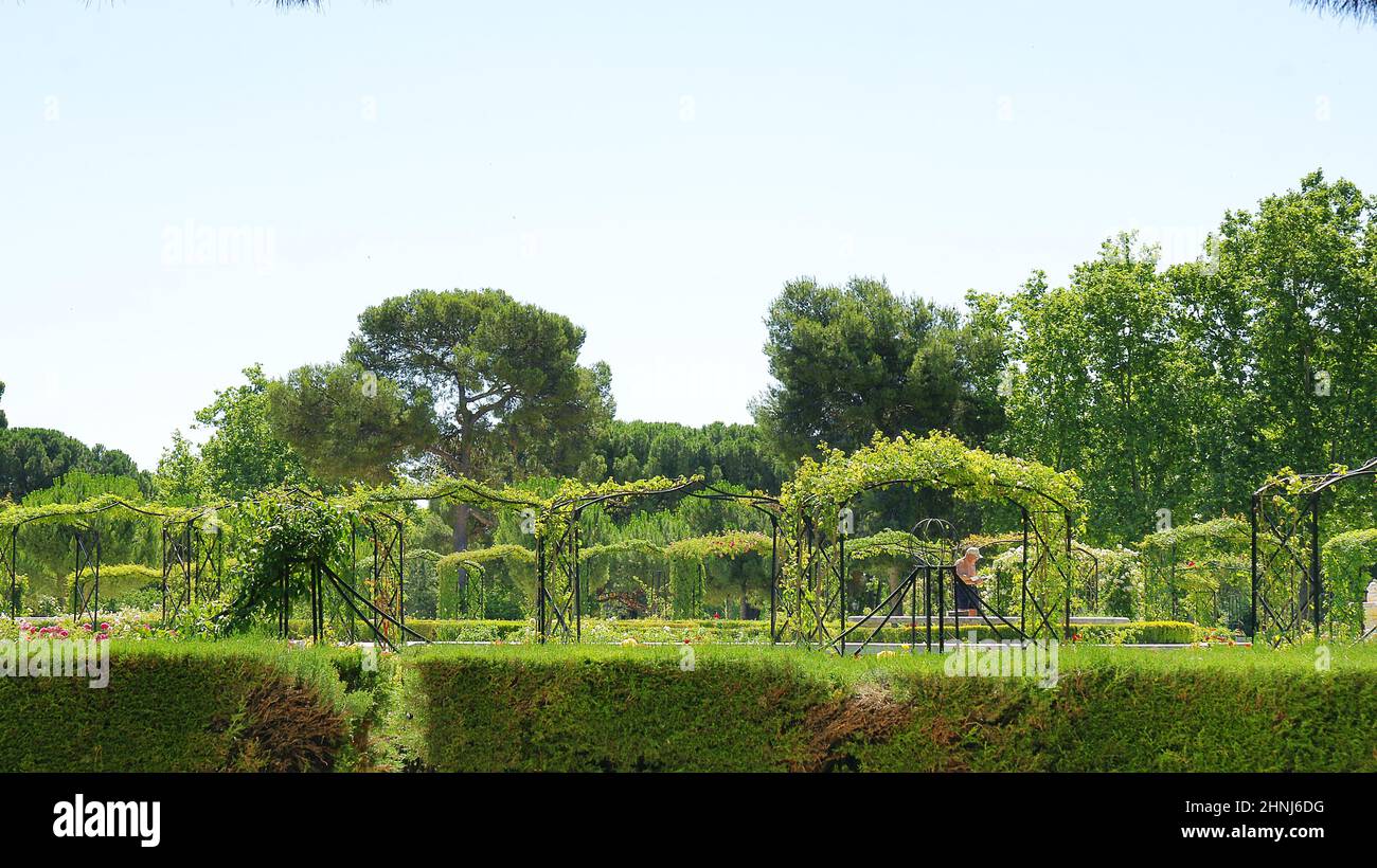 El Retiro Park in Madrid, Spain, Europe Stock Photo - Alamy