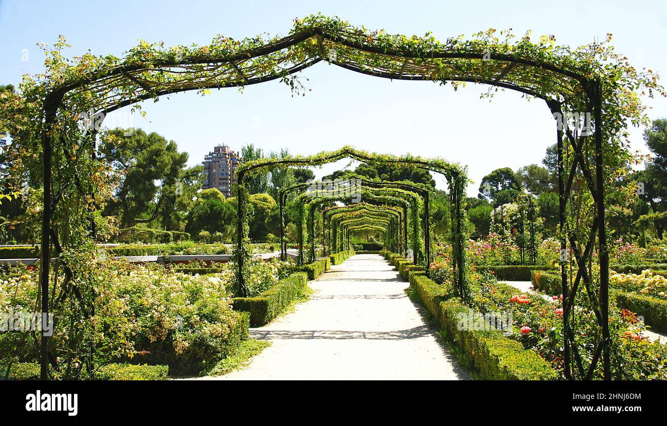 El Retiro Park in Madrid, Spain, Europe Stock Photo - Alamy