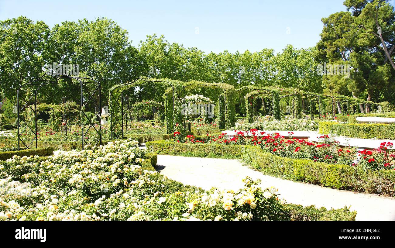 El Retiro Park in Madrid, Spain, Europe Stock Photo - Alamy