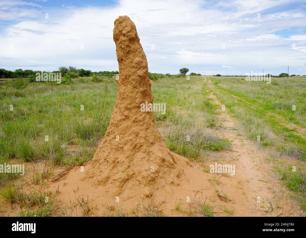 Termitorium hi-res stock photography and images - Alamy