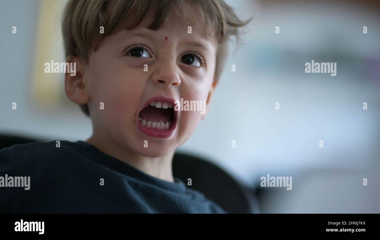 One annoyed little boy screaming and yelling upset child Stock Photo ...