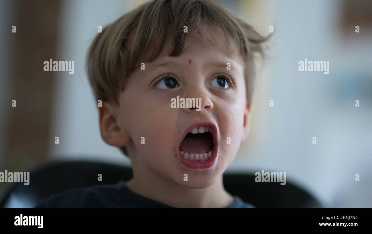 One annoyed little boy screaming and yelling upset child Stock Photo ...