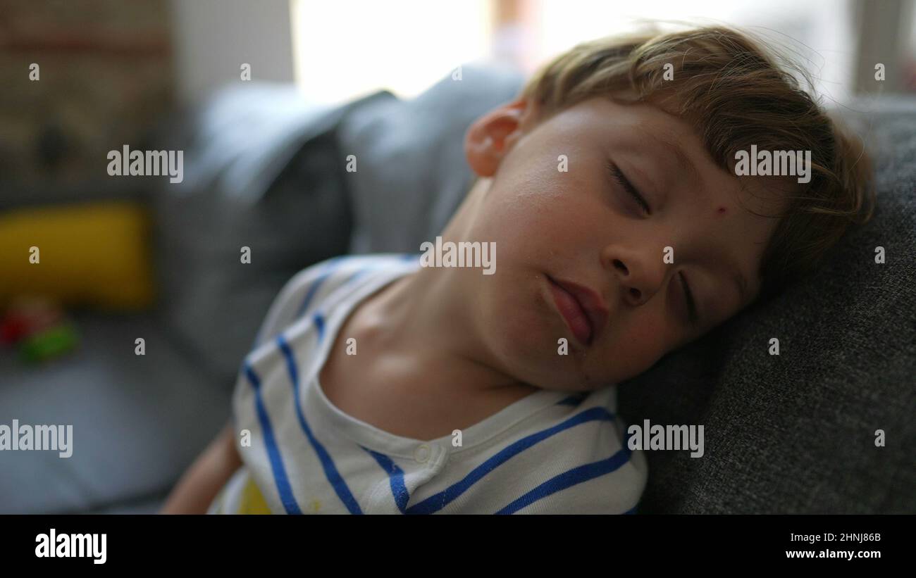 Small boy napping on sofa child sleeping on couch Stock Photo - Alamy