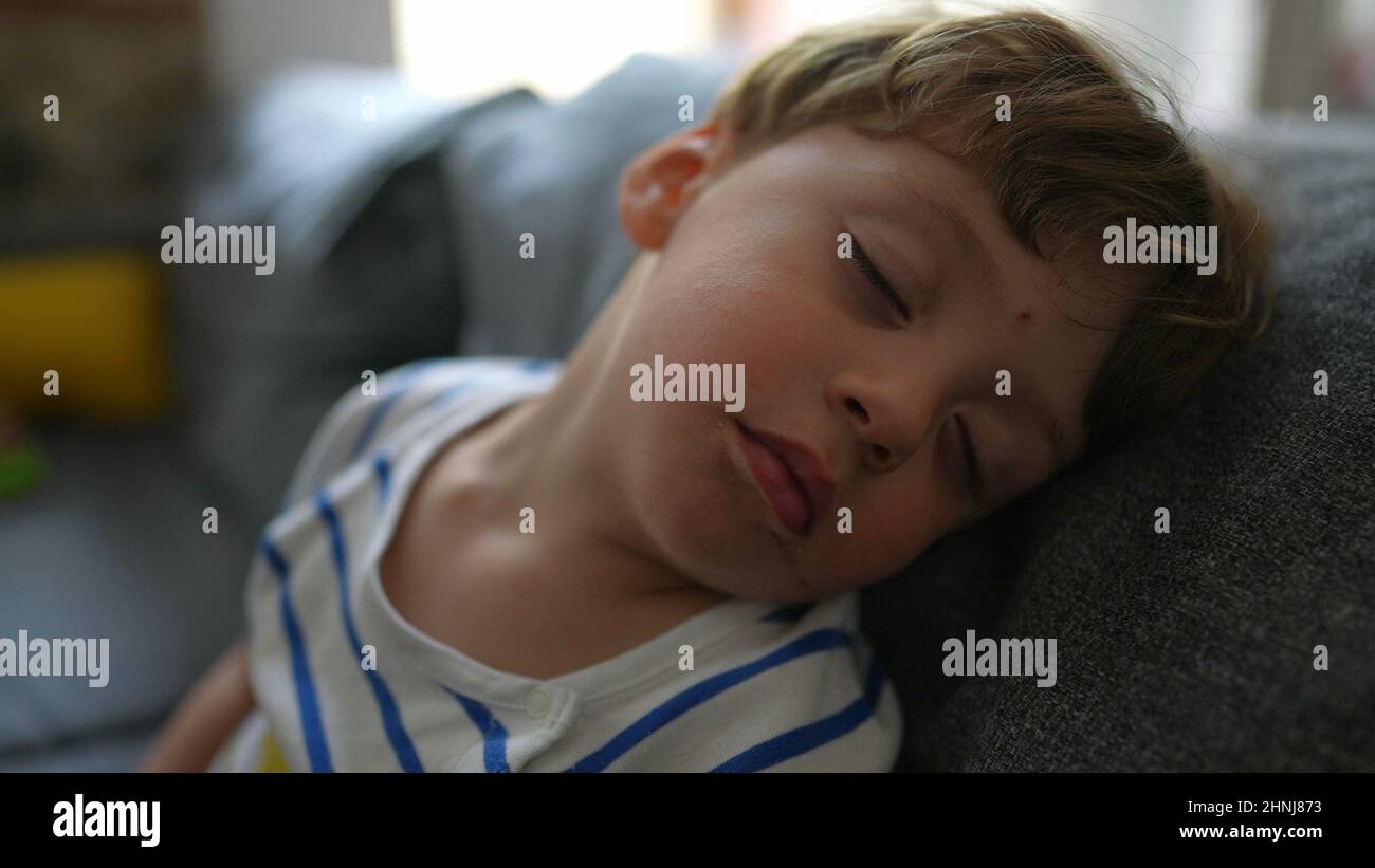 Small boy napping on sofa child sleeping on couch Stock Photo - Alamy