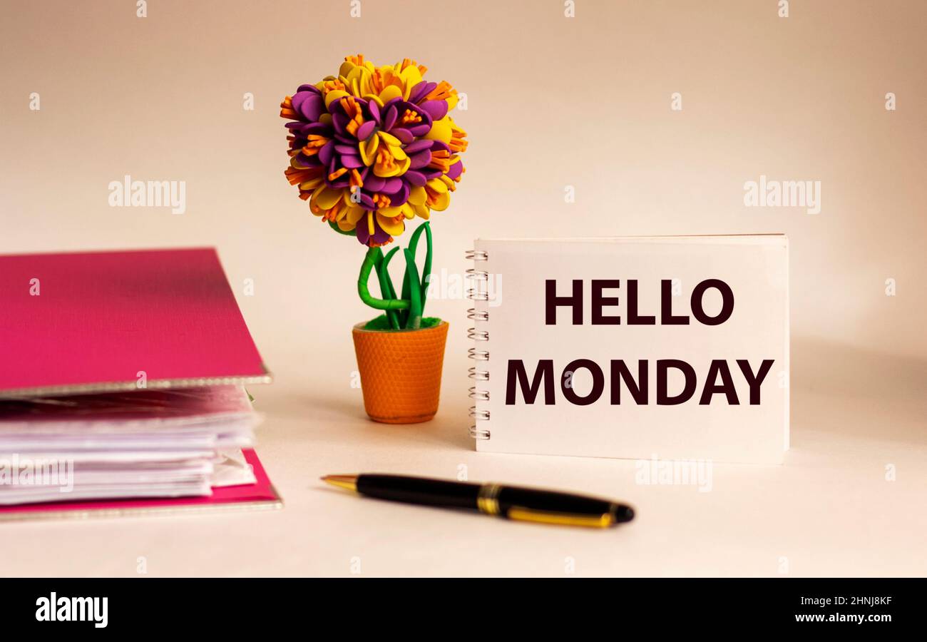 HELLO MONDAY text and flower on light background. The concept of the ...