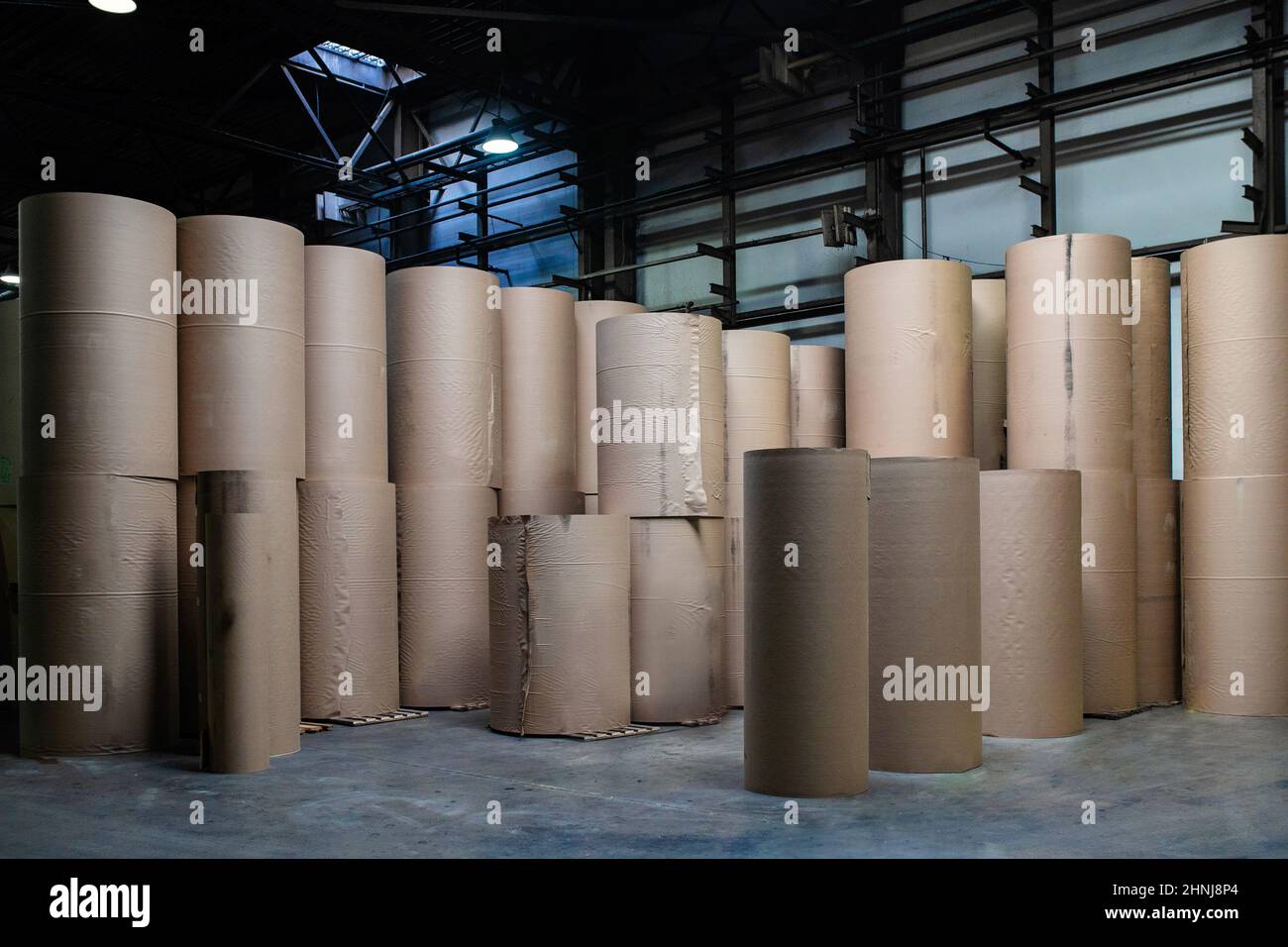 Lots of large rolls of recycled paper wrapping paper Stock Photo - Alamy