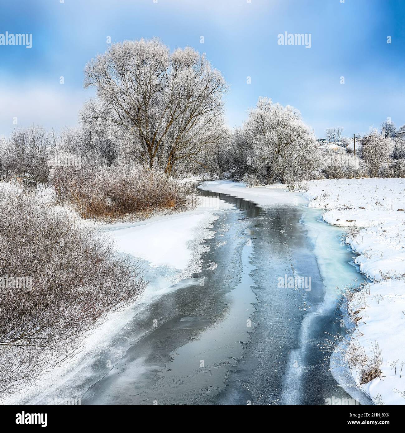 Beautiful Winter landscape scene background with snow covered trees and ...