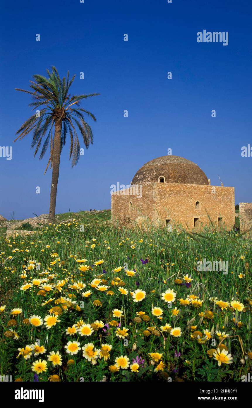 Blooming flowers, spring at Mosque of Sultan Ibrahim, Fortezza ...