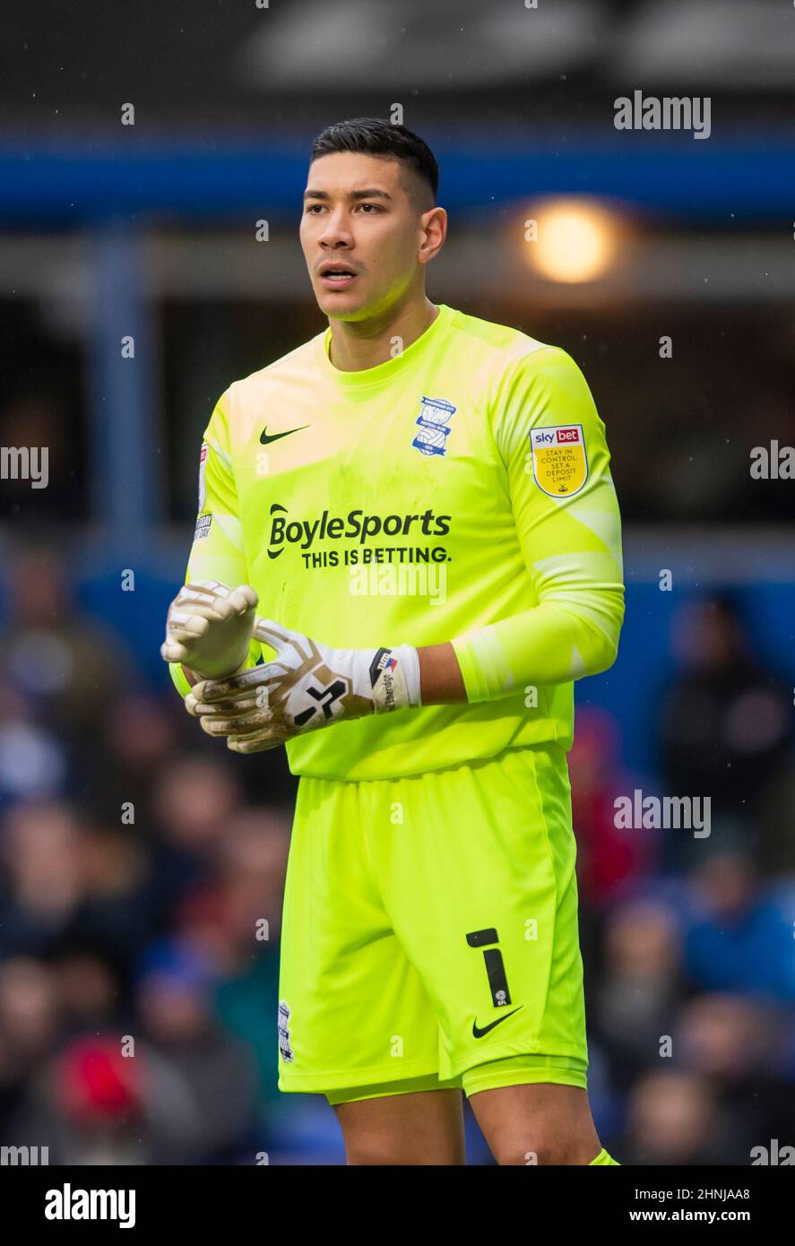Birmingham City goalkeeper Neil Etheridge during the Sky Bet ...