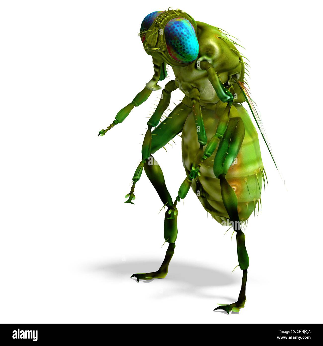 3d-illustration of an isolated huge and scary yellow fly Stock Photo ...