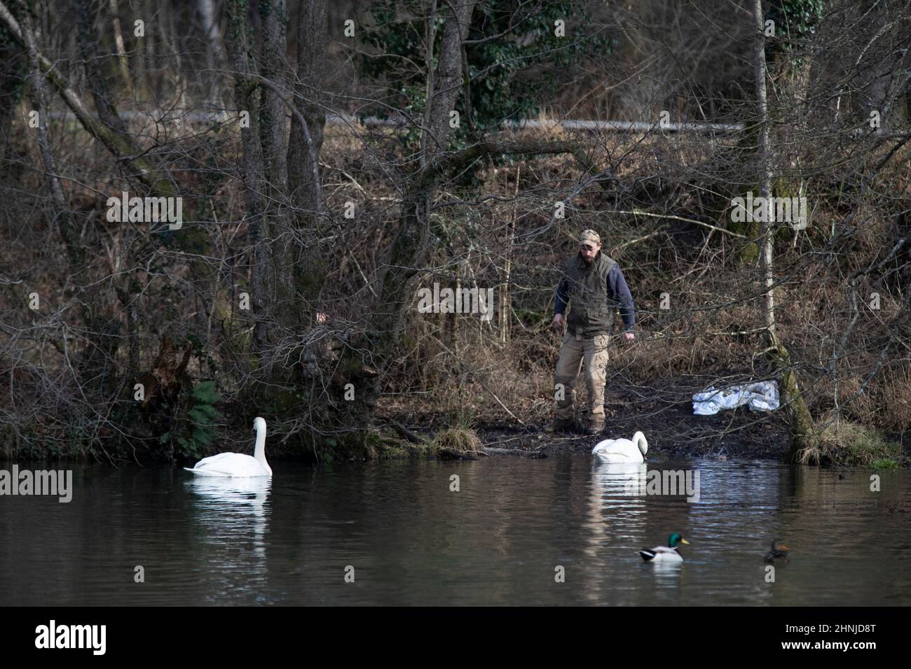 Swan rescuers hi-res stock photography and images - Alamy