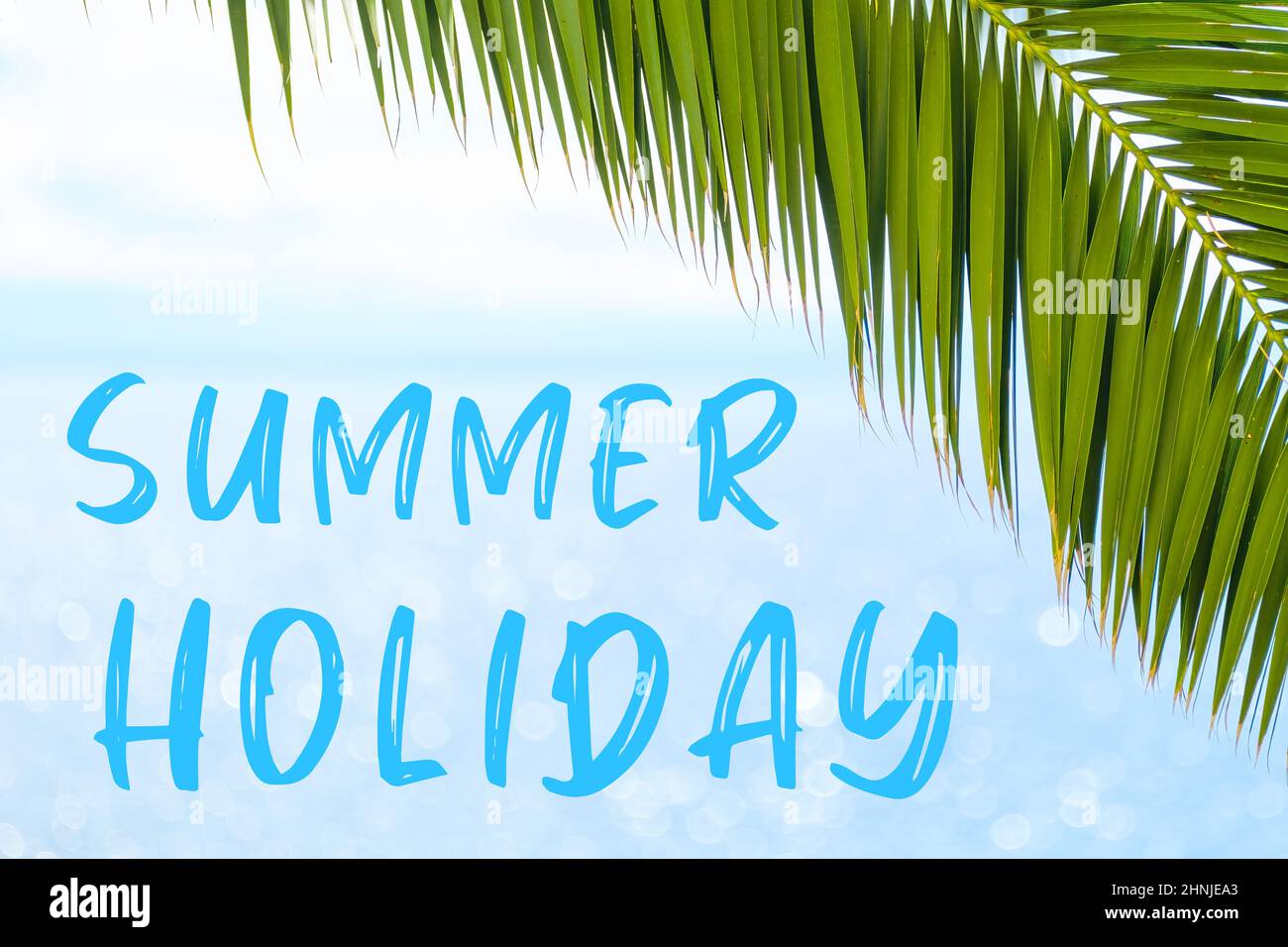 Summer Holiday text on the background with palm leaf and blue sea ...