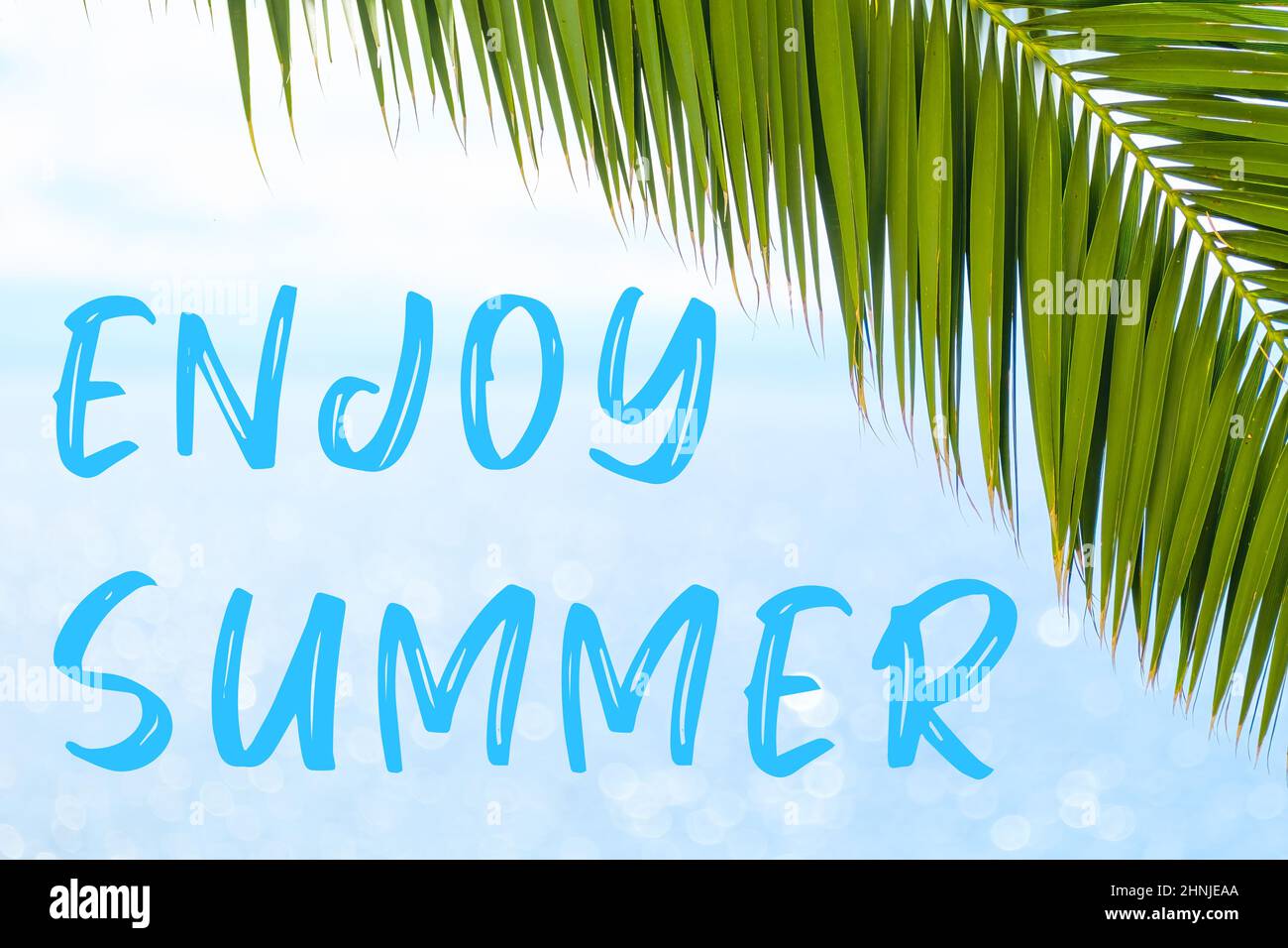 Enjoy summer message written in elegant font on the background with ...