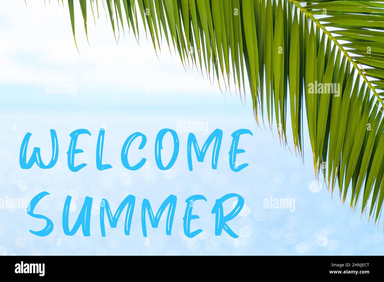 Welcome summer text on the background with palm leaf and blue sea ...