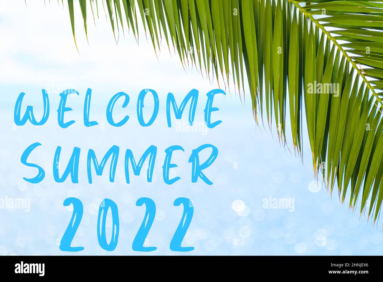 Welcome Summer Welcome Summer PNG, Vector, PSD, And Clipart With