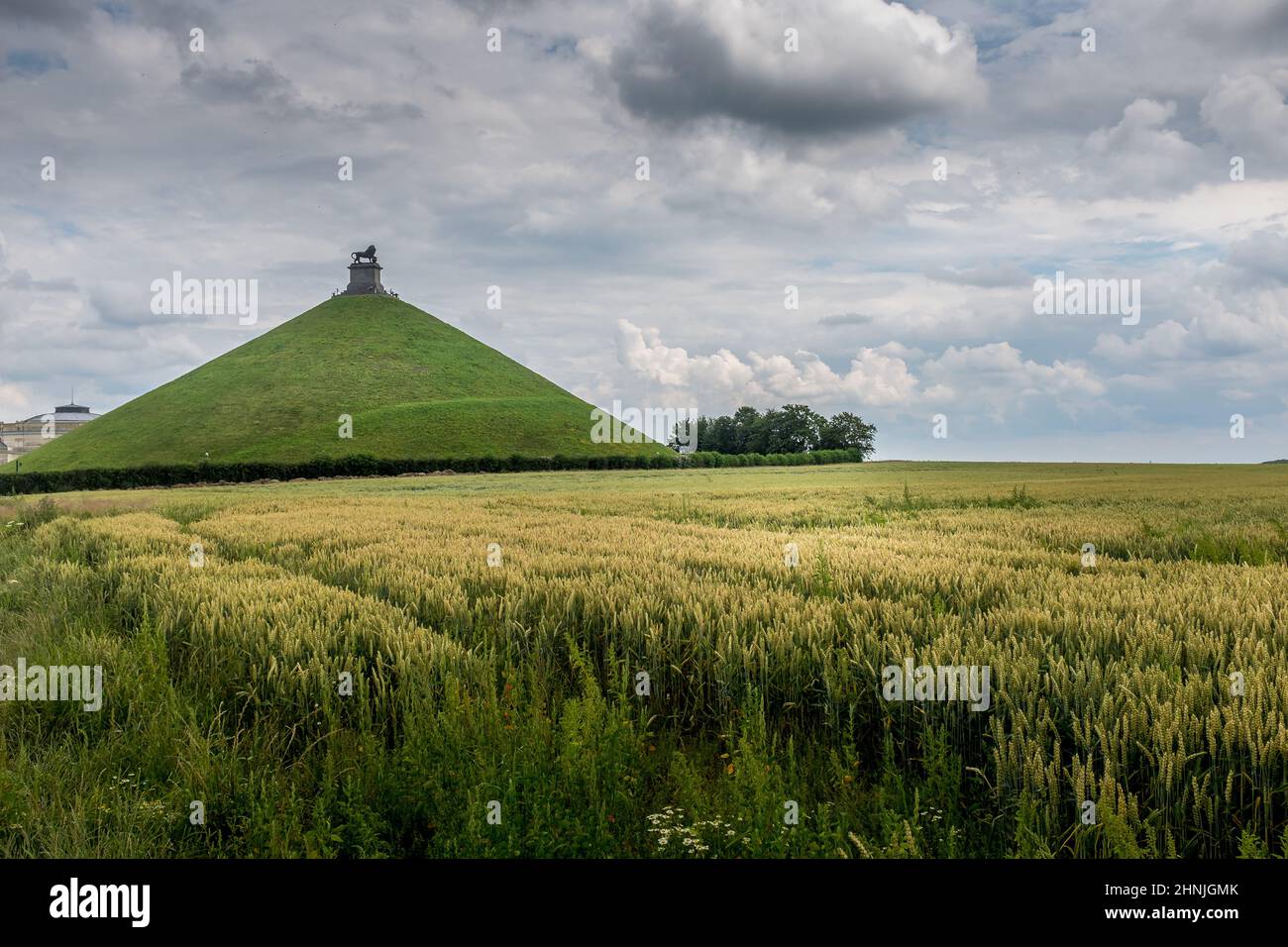 Wellington battle of waterloo hi-res stock photography and images - Alamy