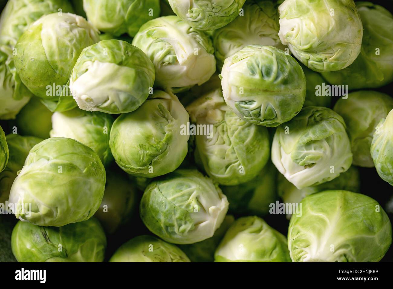 Close up of peeled raw organic brussels sprouts mini cabbage ...