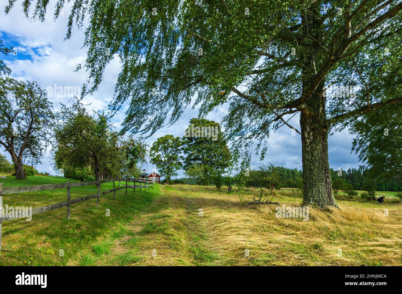 Sweden nature reserve hi-res stock photography and images - Alamy