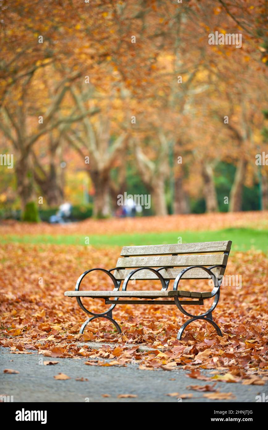 Park Bench Solitude. A quiet park bench in autumn Stock Photo - Alamy