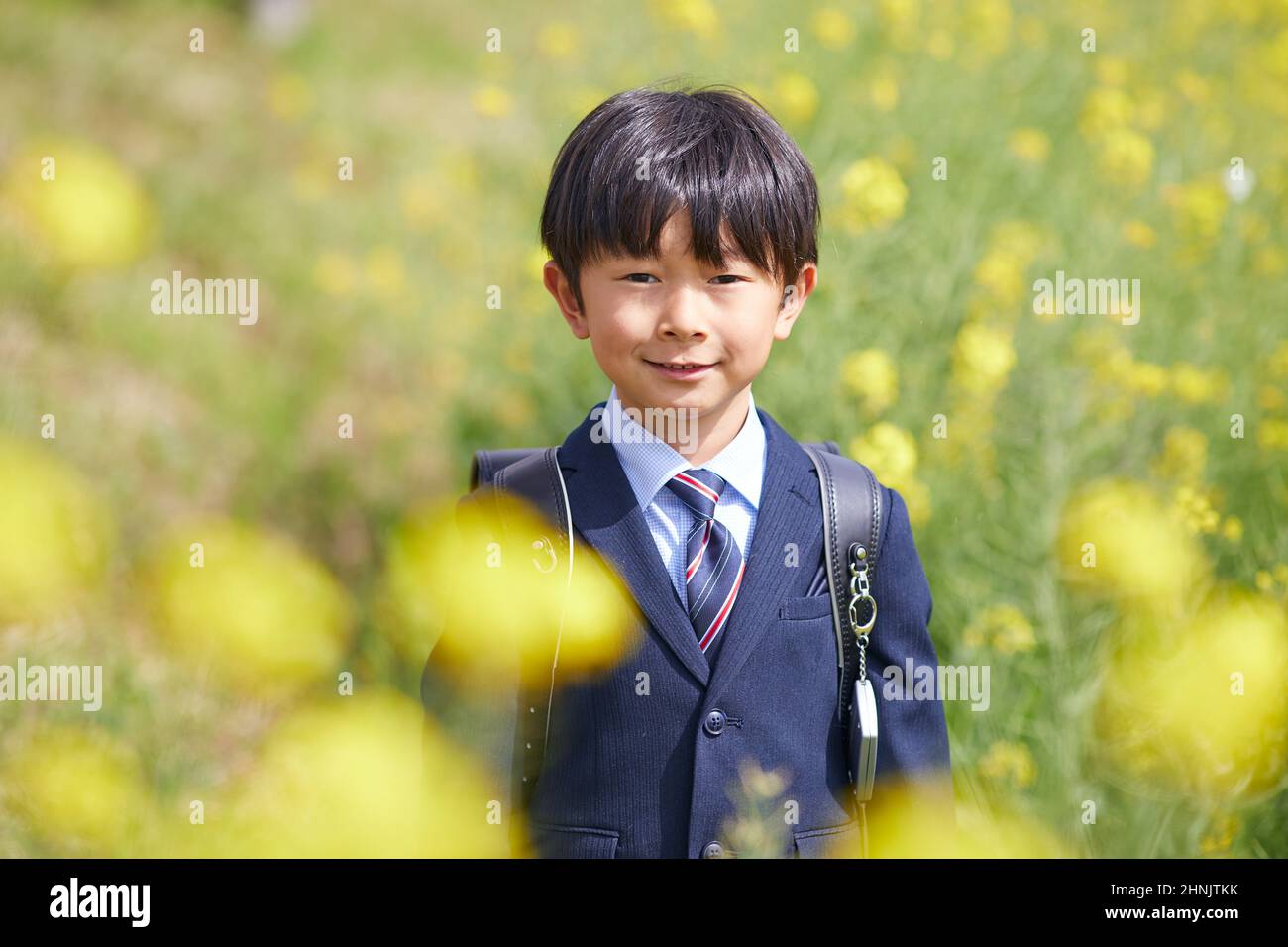 Rape Blossoms And A Japanese Elementary School Boy Stock Photo - Alamy