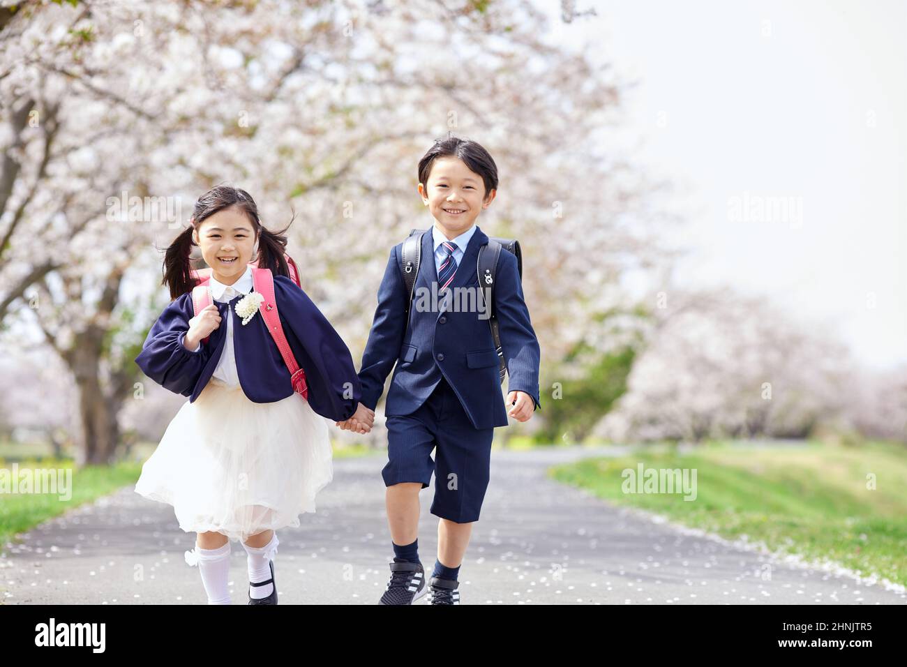 Japanese Elementary School Students Walking Under The Cherry Blossoms ...
