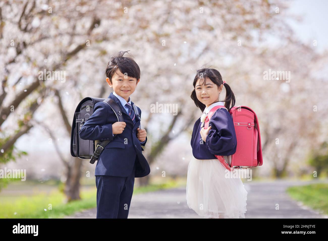 Japanese Elementary School Students And Under The Cherry Blossoms Stock ...