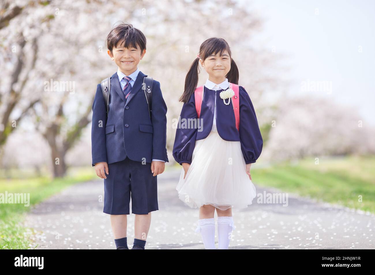 Japanese Elementary School Students With Under The Cherry Blossoms ...