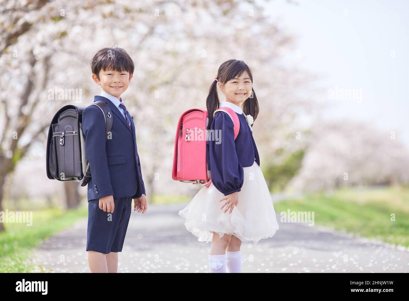 Japanese Elementary School Students With Under The Cherry Blossoms Stock Photo - Alamy