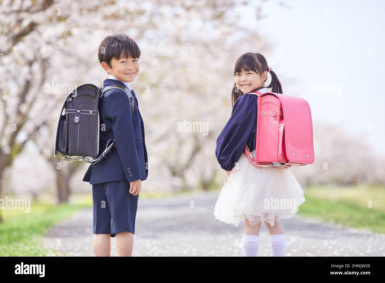 Japanese Elementary School Students With Under The Cherry Blossoms ...