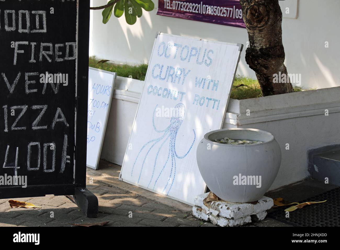 Octopus curry sign at Galle Fort in Sri Lanka Stock Photo - Alamy