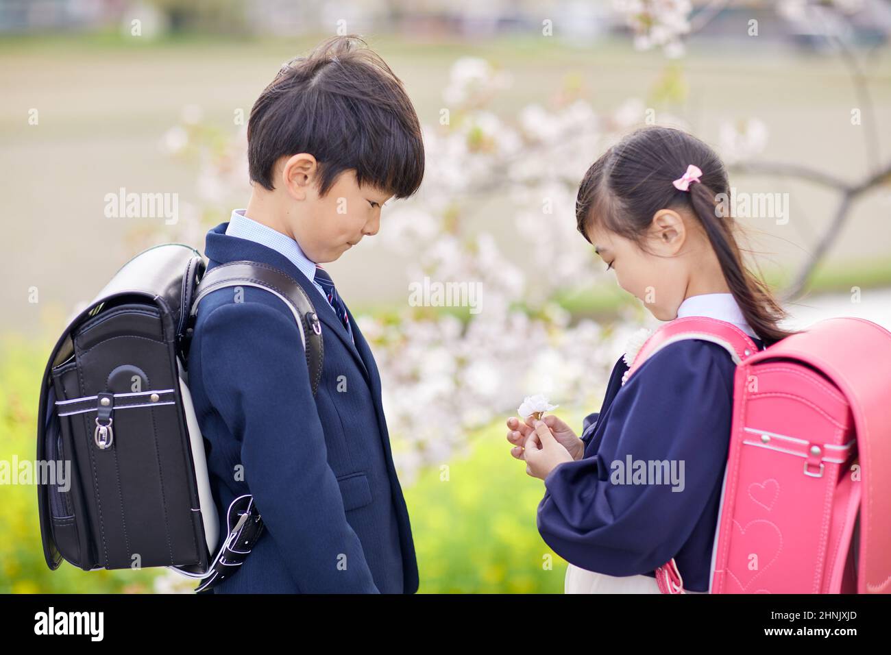 Japanese Elementary School Student Stock Photo - Alamy