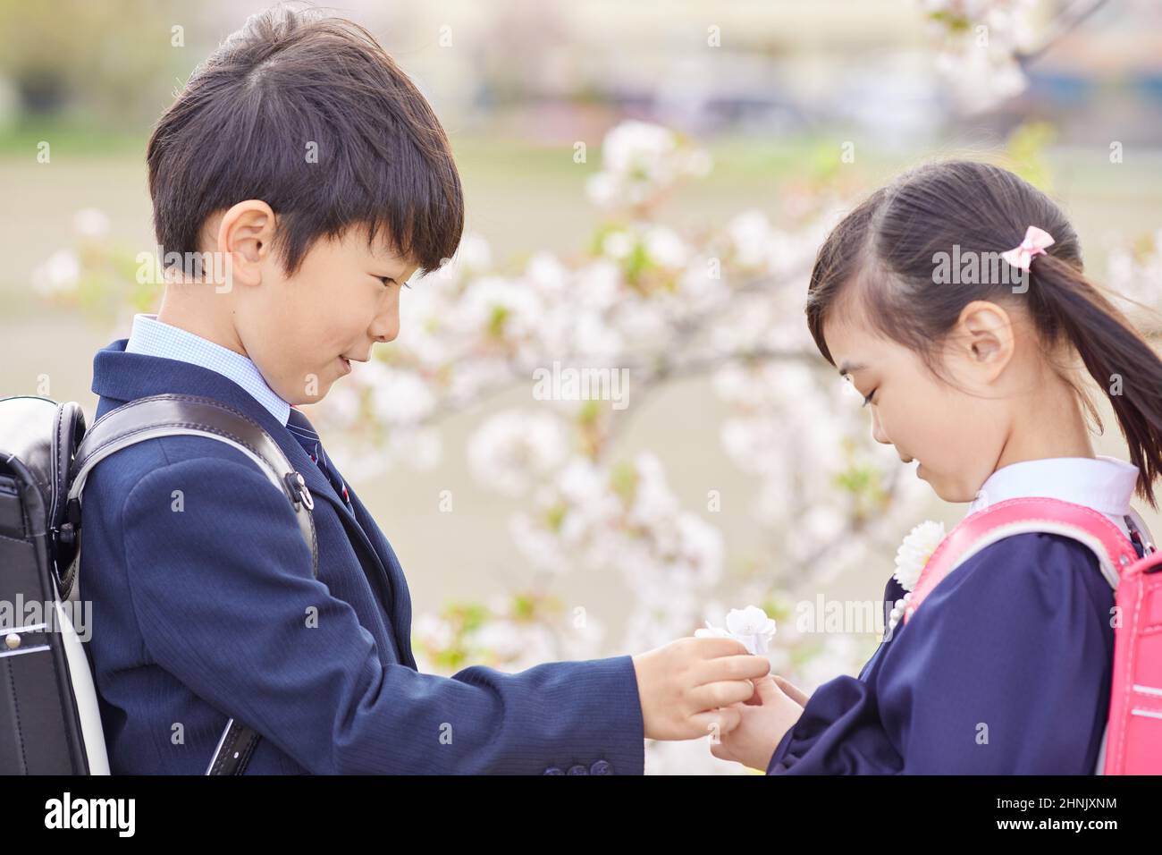Japanese Elementary School Students Stock Photo - Alamy