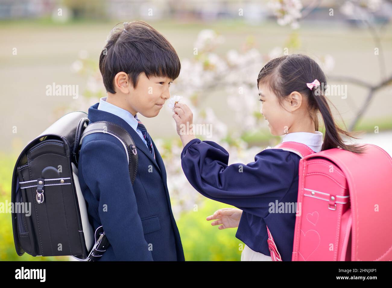Japanese Elementary School Student Stock Photo - Alamy