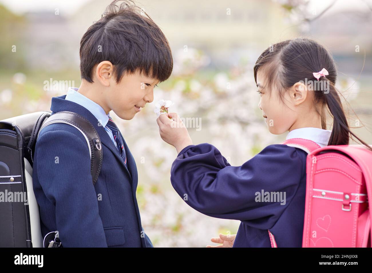 Japanese Elementary School Students Stock Photo - Alamy