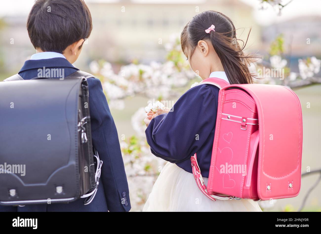 Japanese Elementary School Students Stock Photo - Alamy