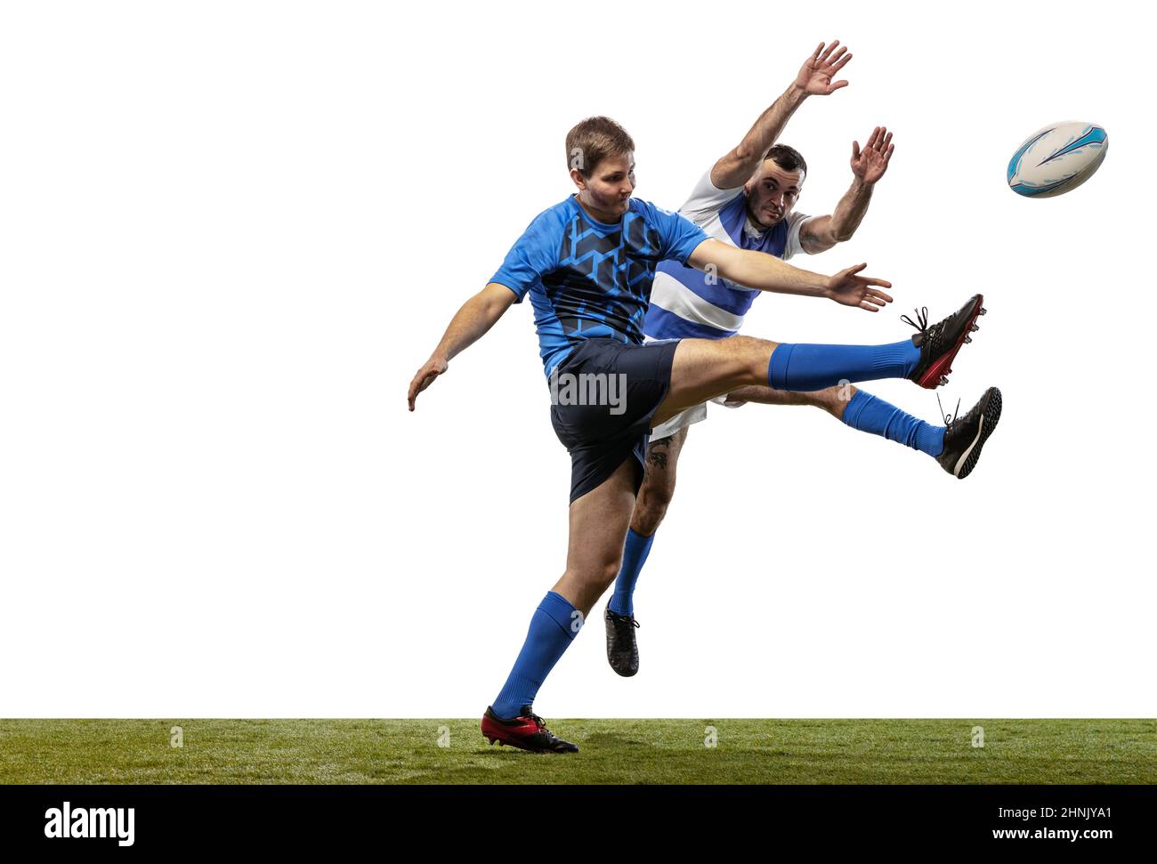 Two athletes, rugby players playing rugby football on grass flooring ...