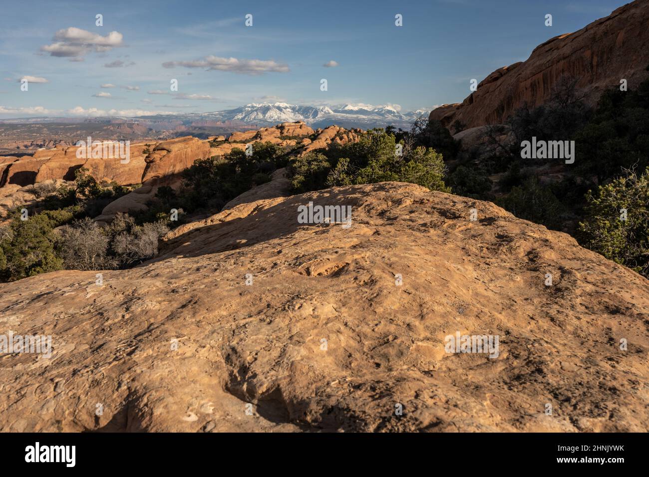 Trail of Devils Garden Loop Follows Along Smooth Top of Rocky Fin in ...