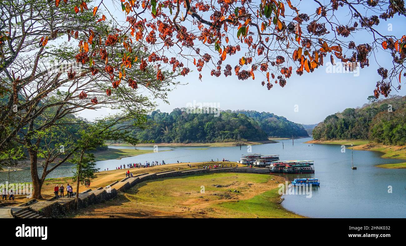 Periyar tiger reserve kerala hi-res stock photography and images - Alamy
