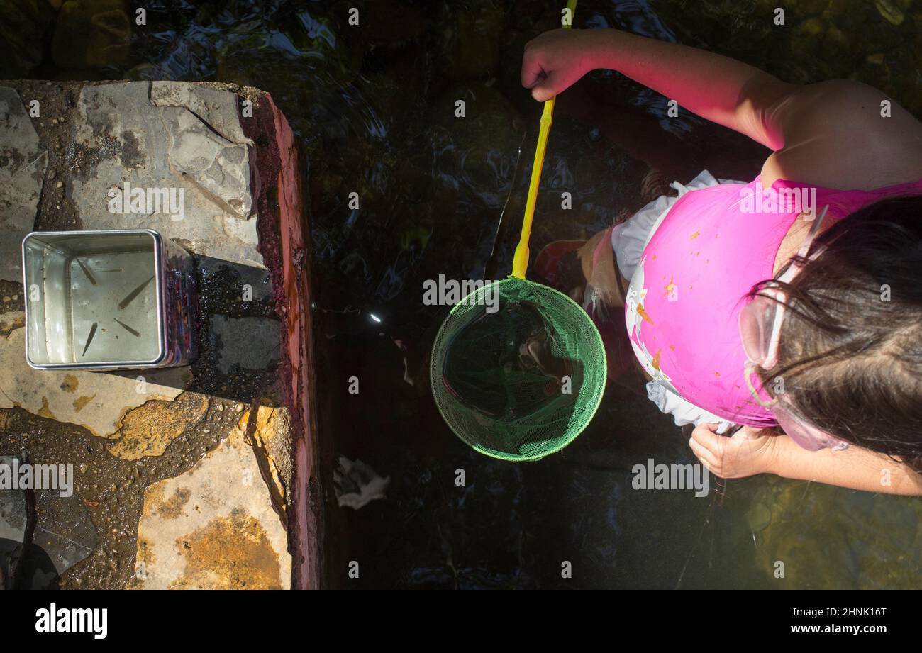 Fish for kids hi-res stock photography and images - Alamy