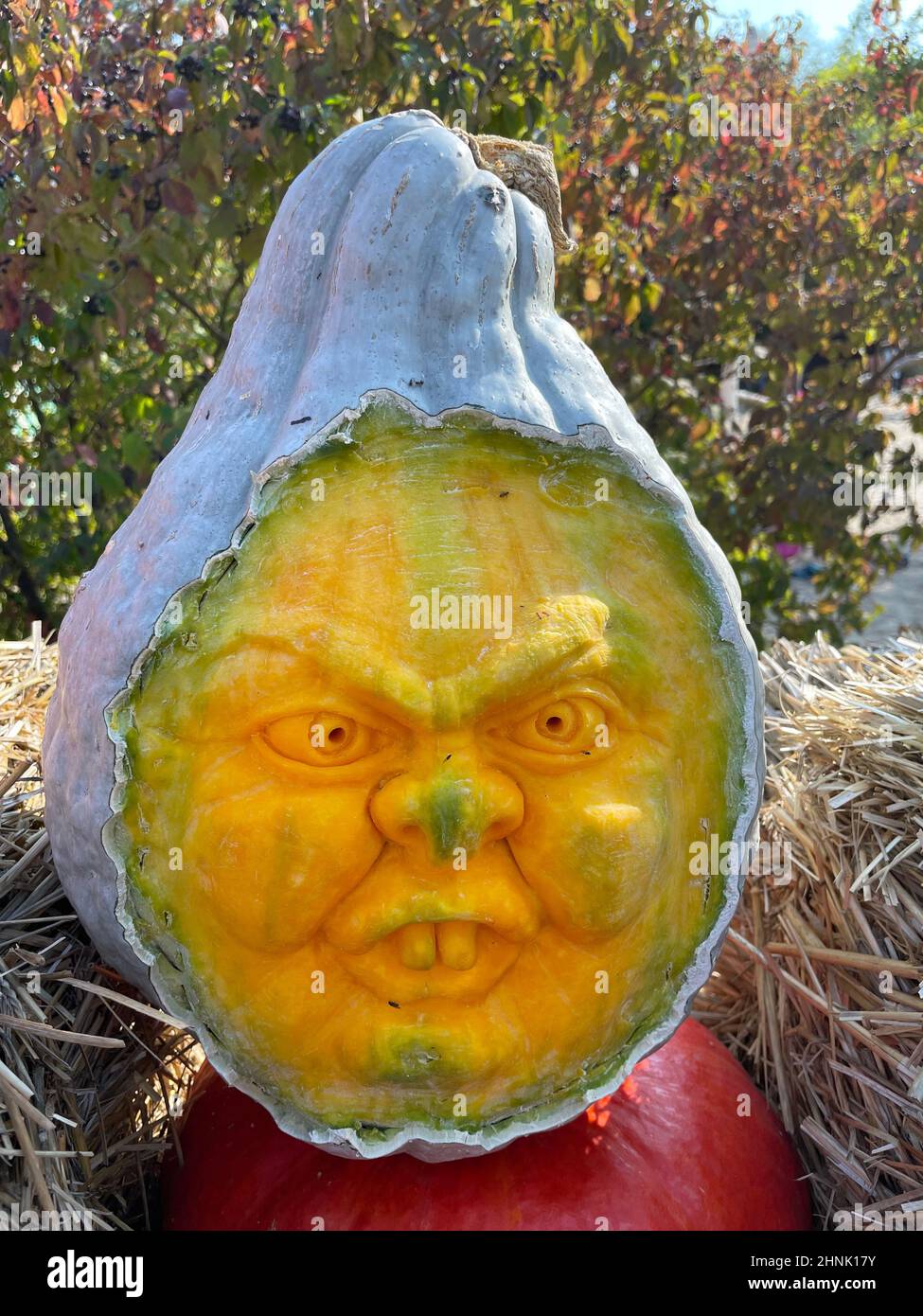 Pumpkin face carving Stock Photo - Alamy