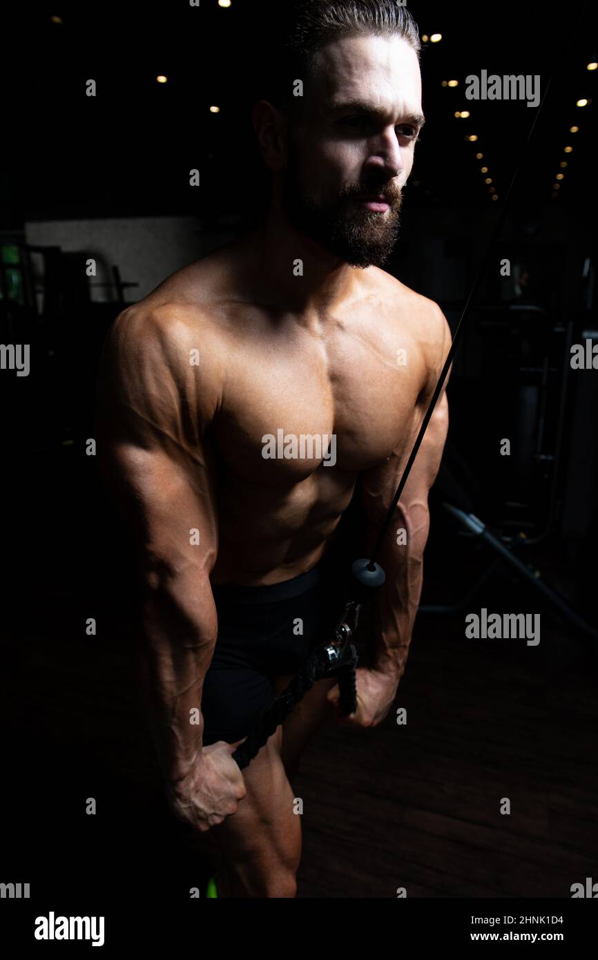 Man Exercising Triceps In The Gym Stock Photo - Alamy